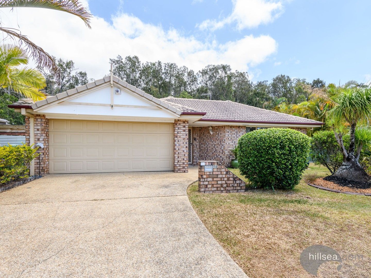 16 Whyalla Court, Helensvale QLD 4212 | Domain