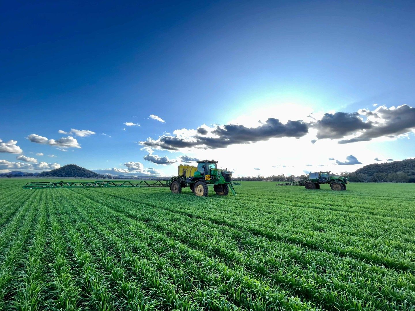 Mullaley NSW 2379 - House for Sale | Domain