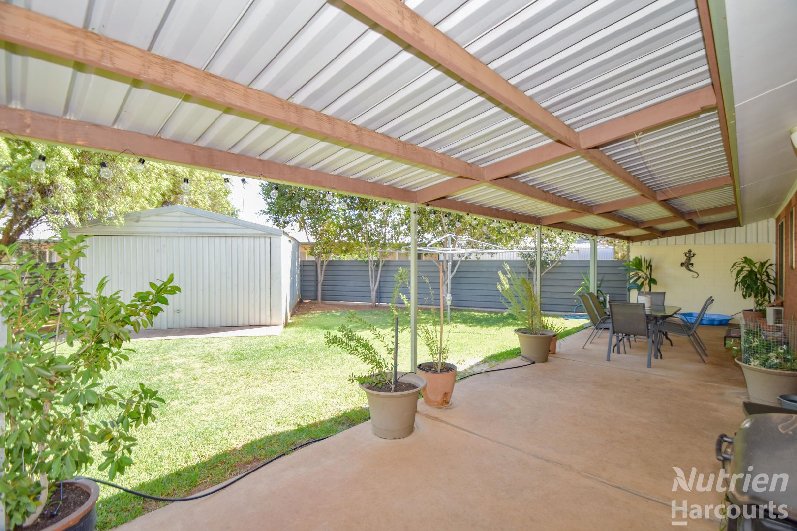 1/8 Triodia Court, Sadadeen NT 0870 | Domain