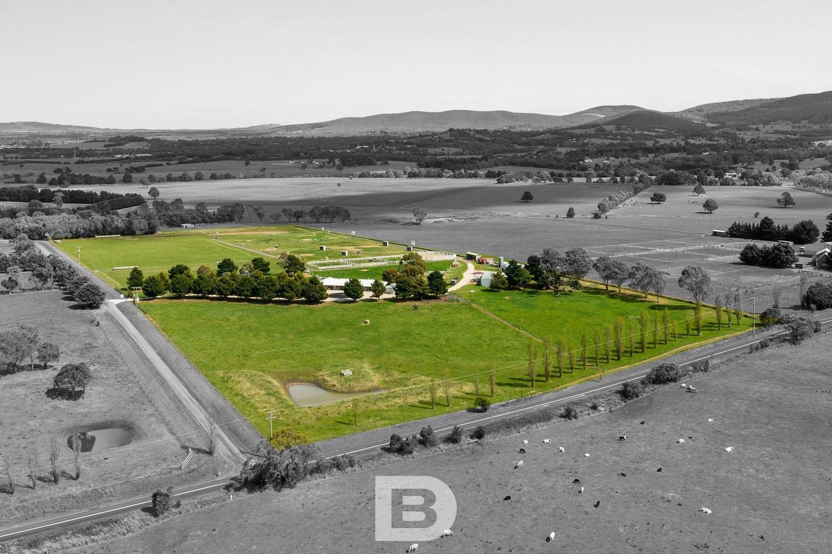 20 Martin Court, Bolinda VIC 3432 - House for Sale | Domain