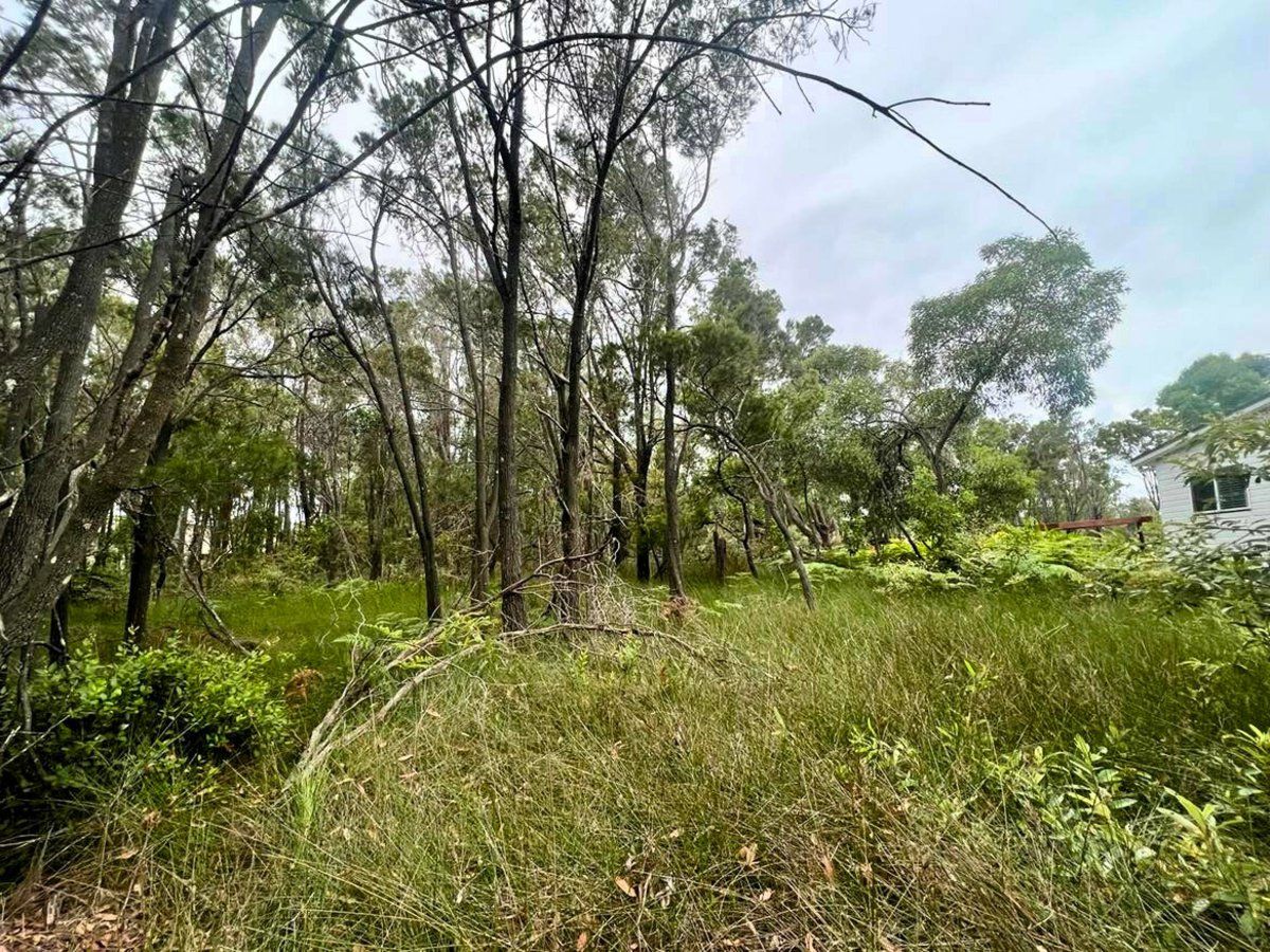 19 Cathy Street, Macleay Island QLD 4184 | Domain