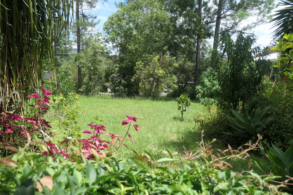 18 Clarence Street, Bonalbo NSW 2469 | Domain