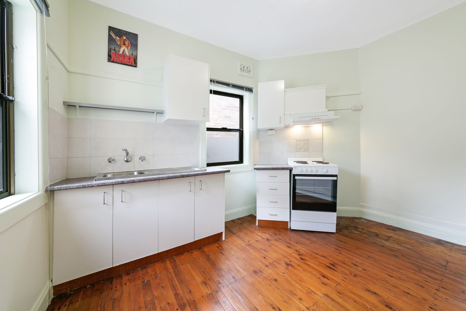 11 Ryan Street, Lilyfield NSW 2040 - House For Rent | Domain