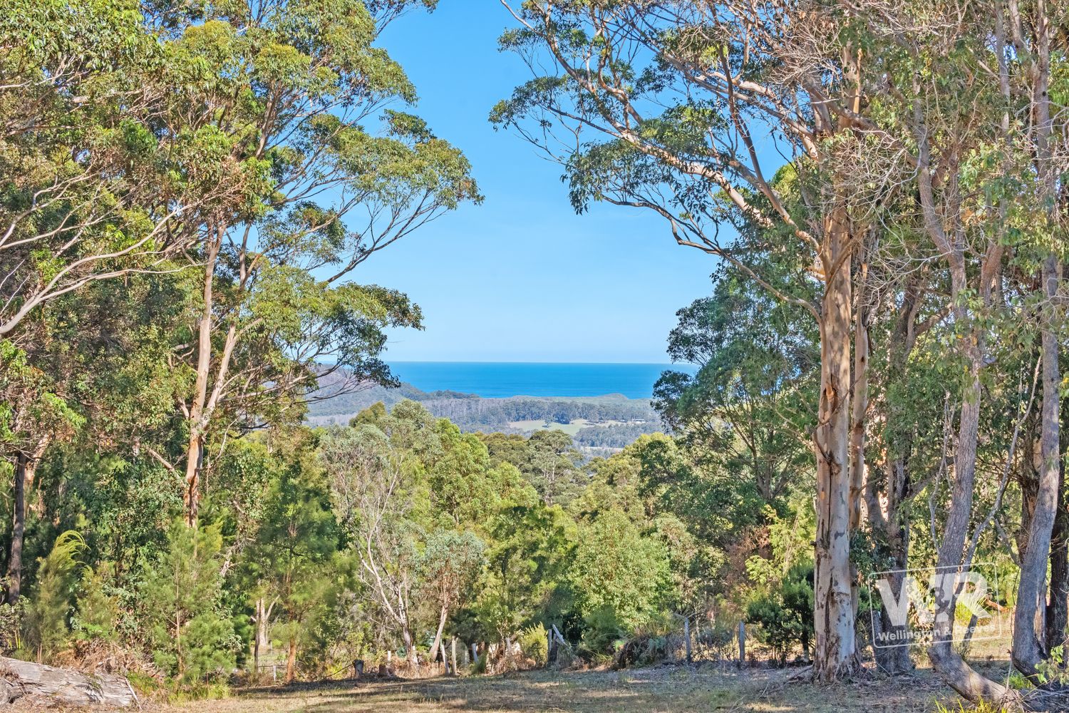 Shadforth WA 6333 - House for Sale | Domain