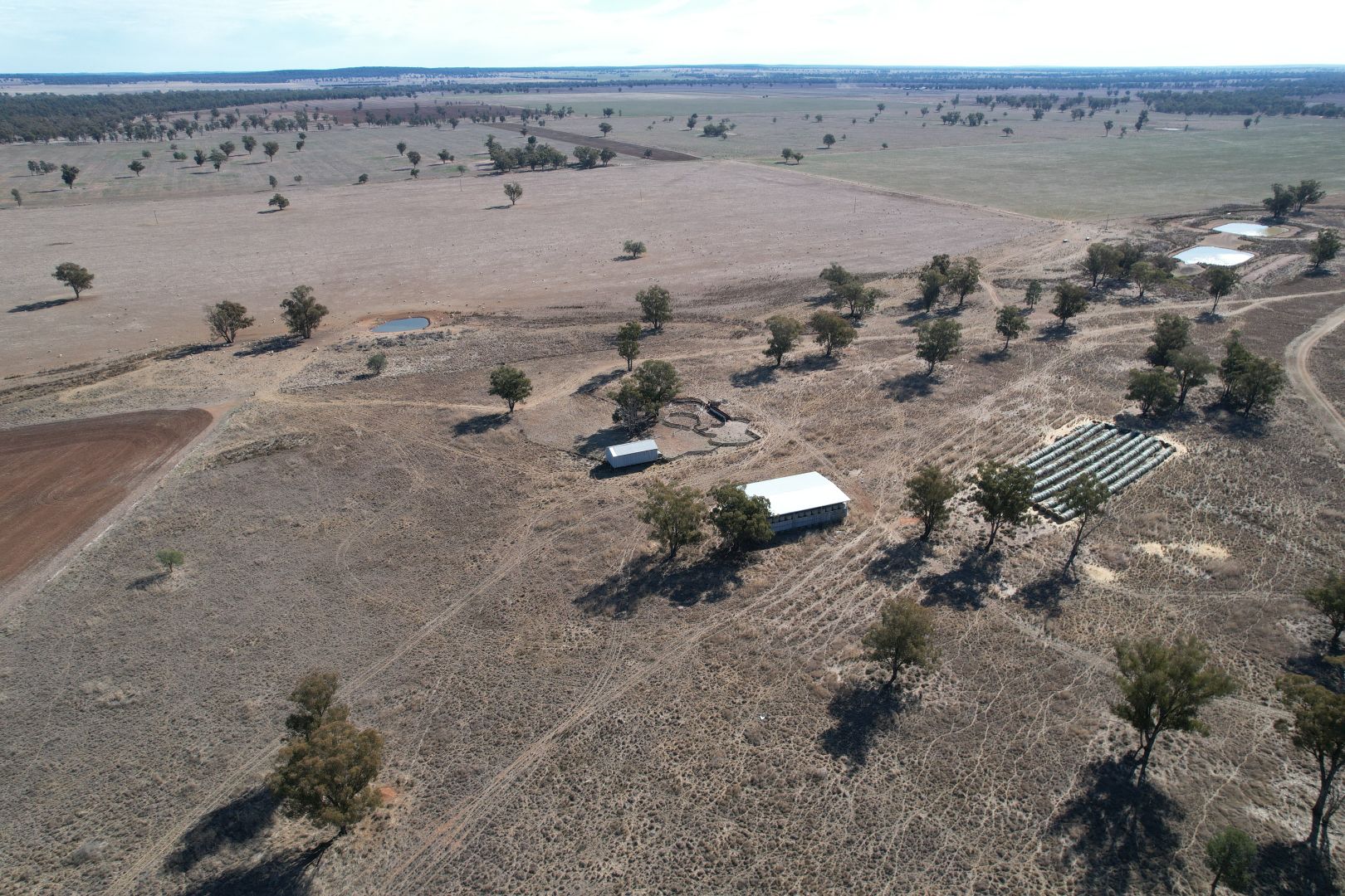 Bogan Road, Parkes NSW 2870 - Mixed Farming Property for Sale