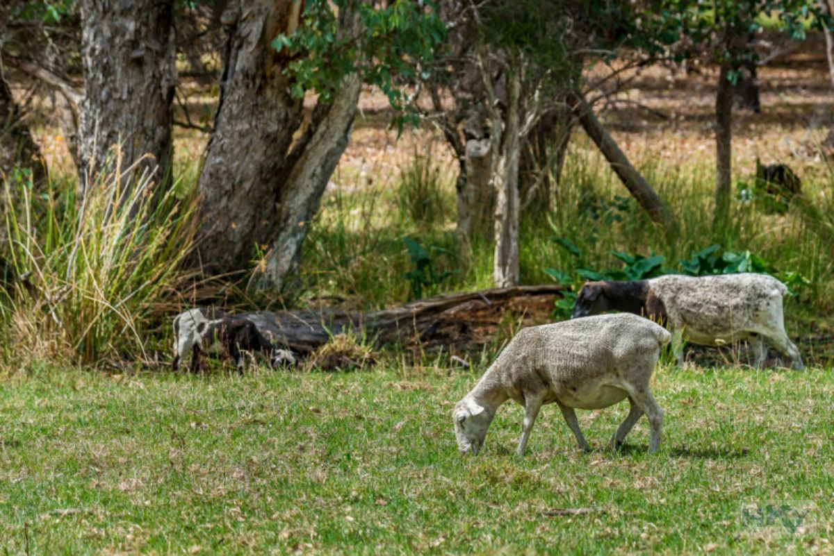 Lot 2136 Neaves Road, Bullsbroo | Property History & Address Research ...