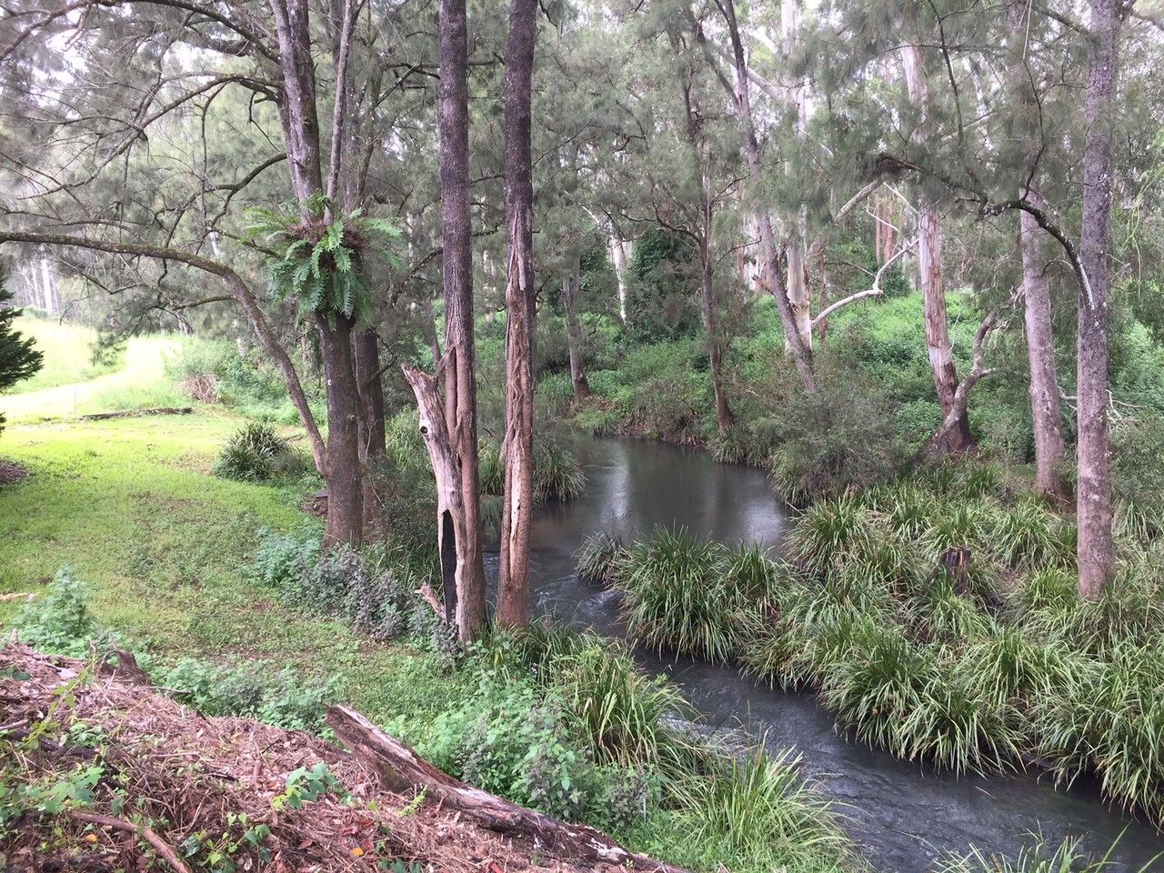 81 Jones Road, Tumoulin | Property History & Address Research | Domain