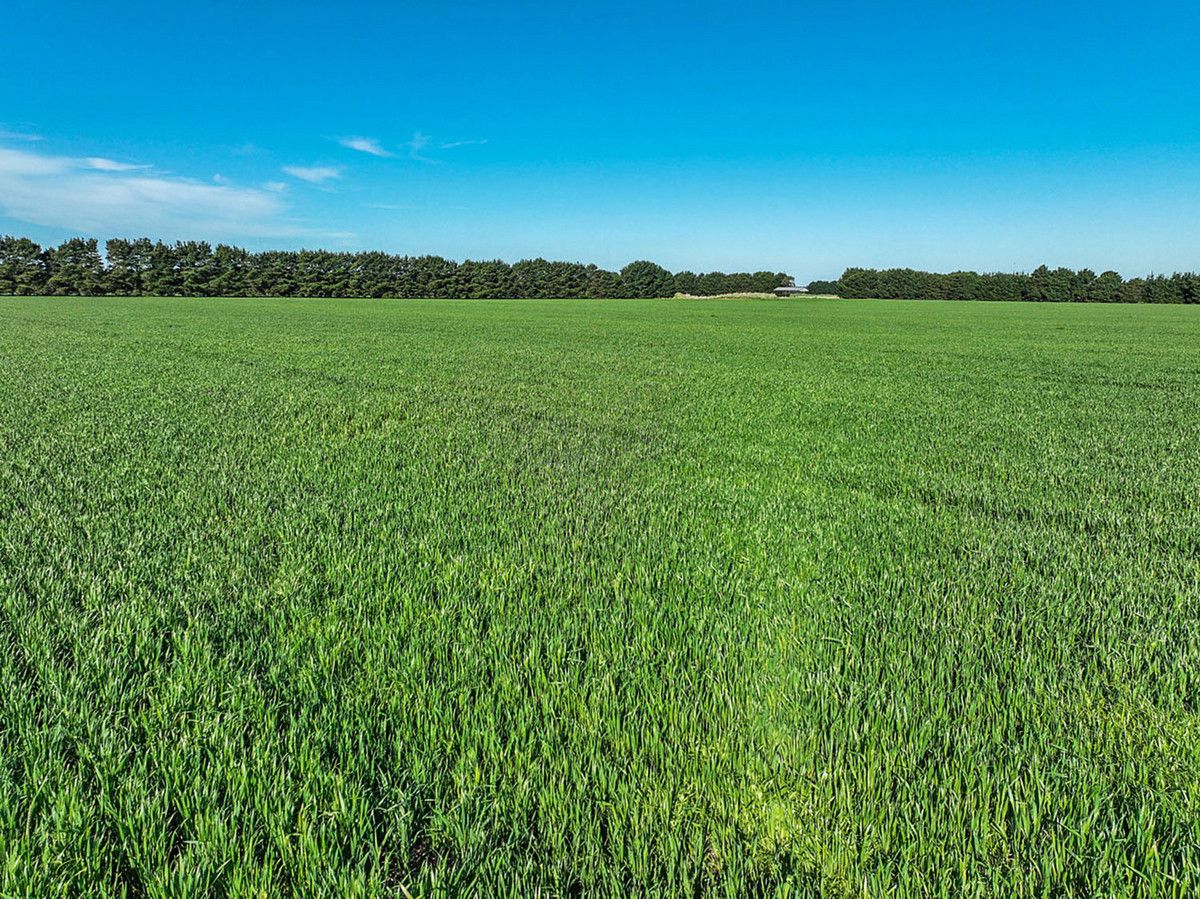 210 Meredith- Mt Mercer Road, Meredith VIC 3333 - House for Sale