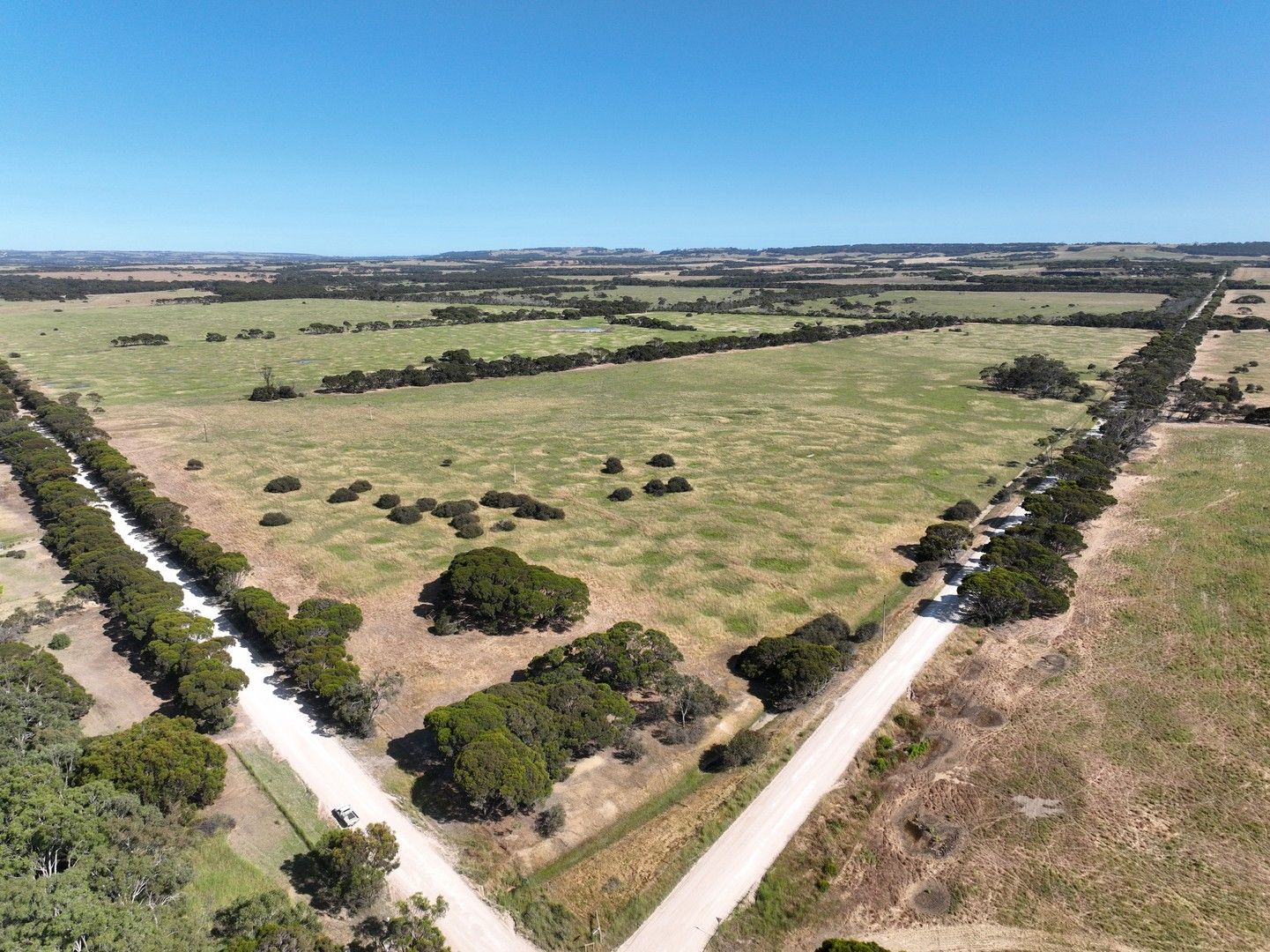 Menzies SA 5223 - Farm for Sale | Domain