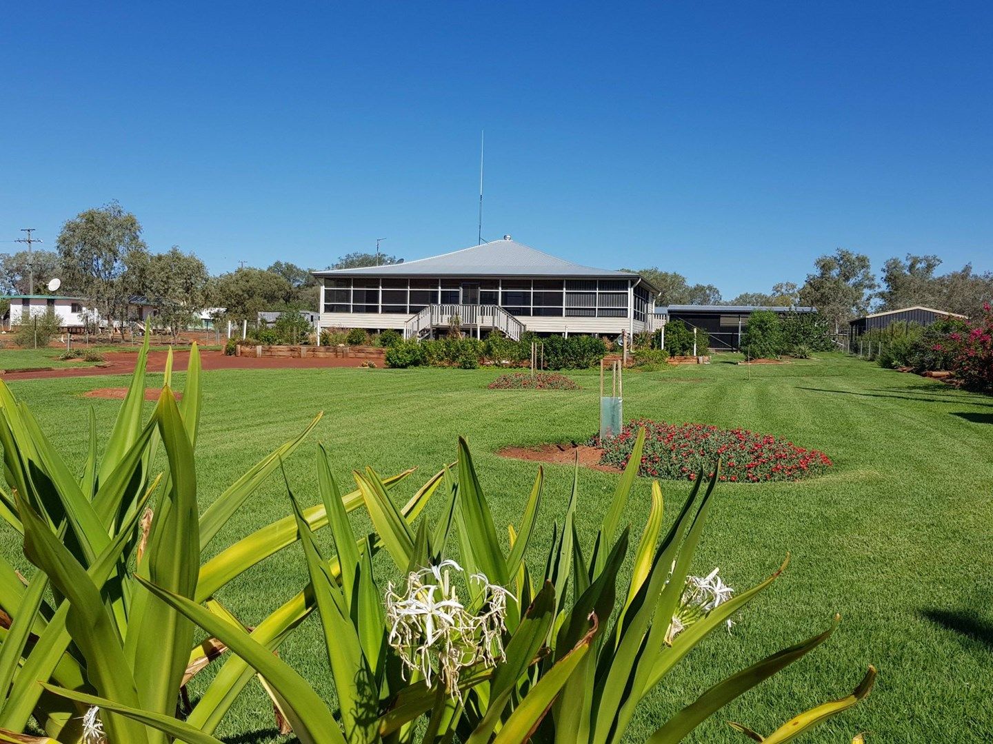 20 Eulo Street, Eulo | Property History & Address Research | Domain