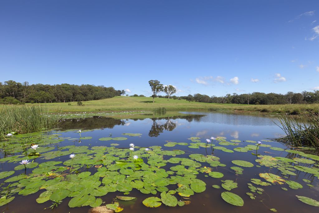 55 Wire Lane, Berry | Property History & Address Research | Domain