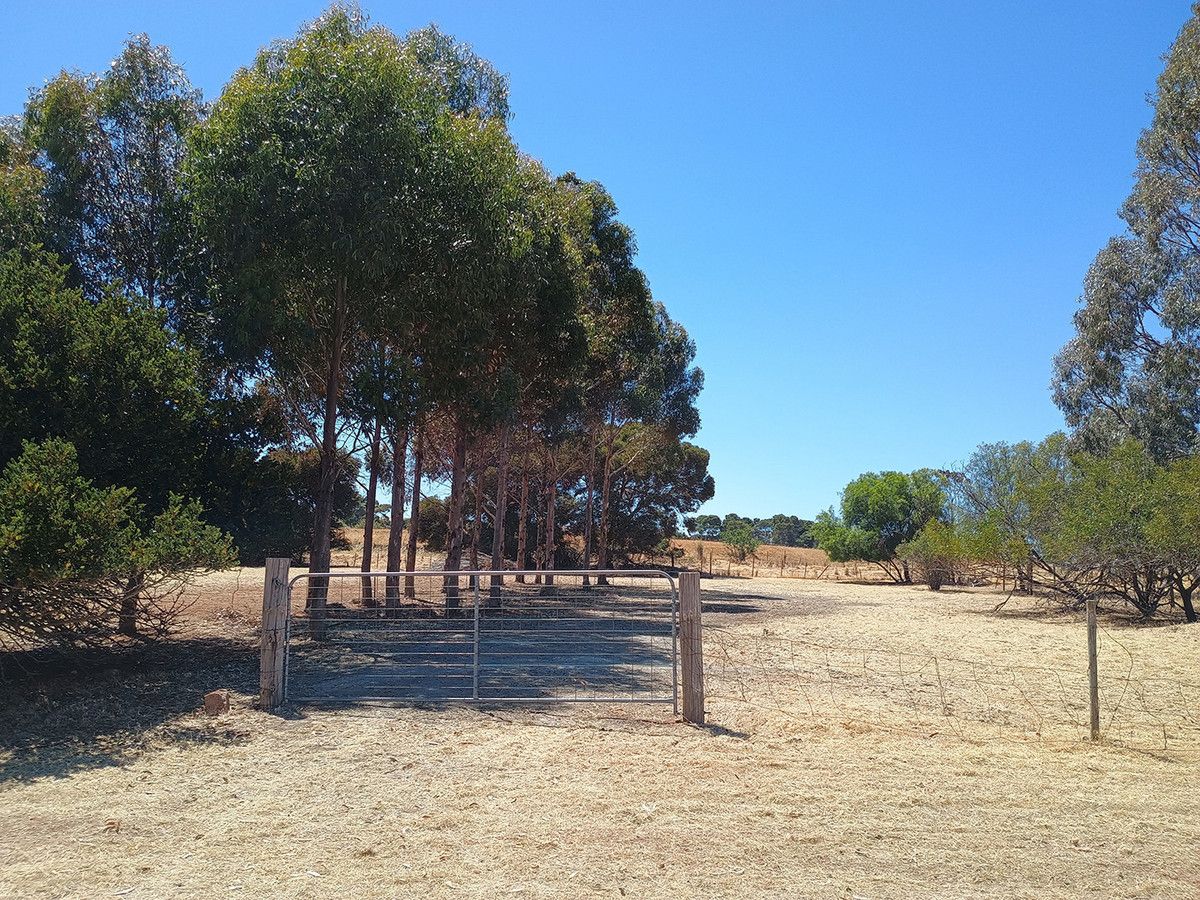 3,4,5 And 6 Catharine Street, Farrell Flat SA 5416 | Domain