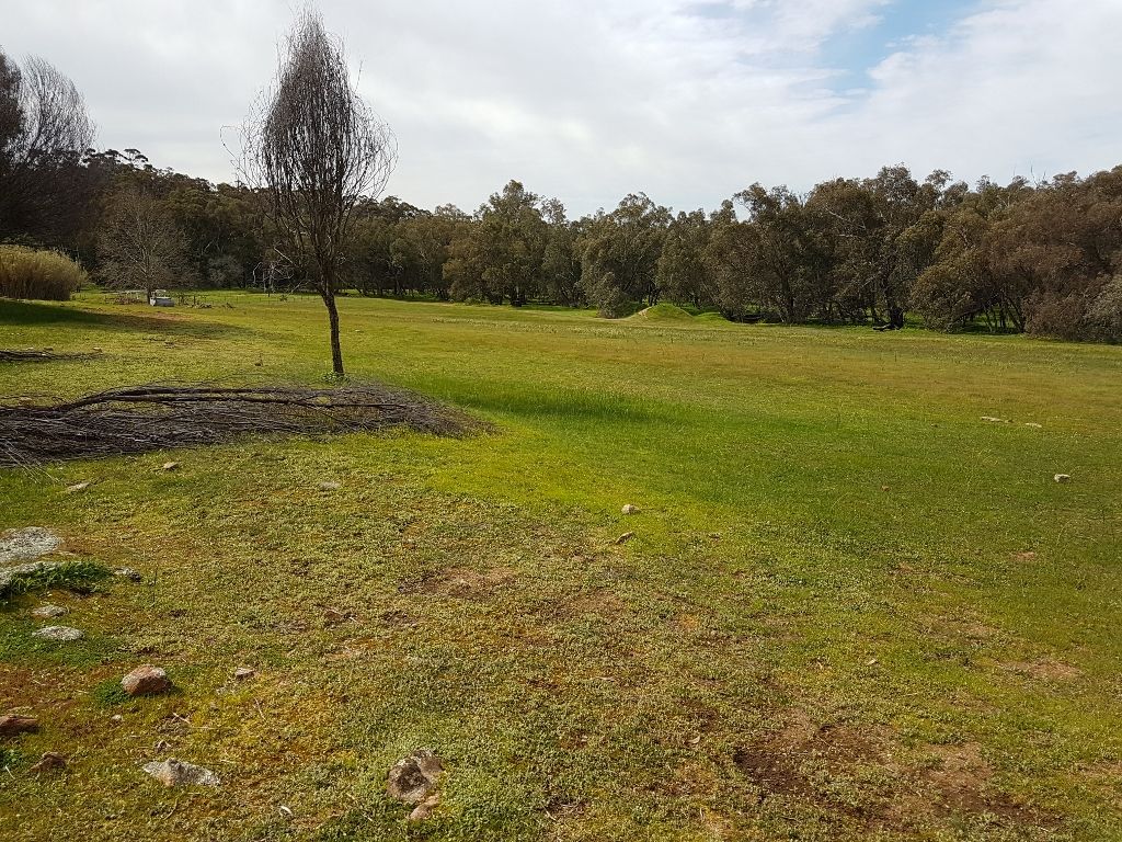 Lot 24 Hoggarth Road, Clackline WA 6564 | Domain