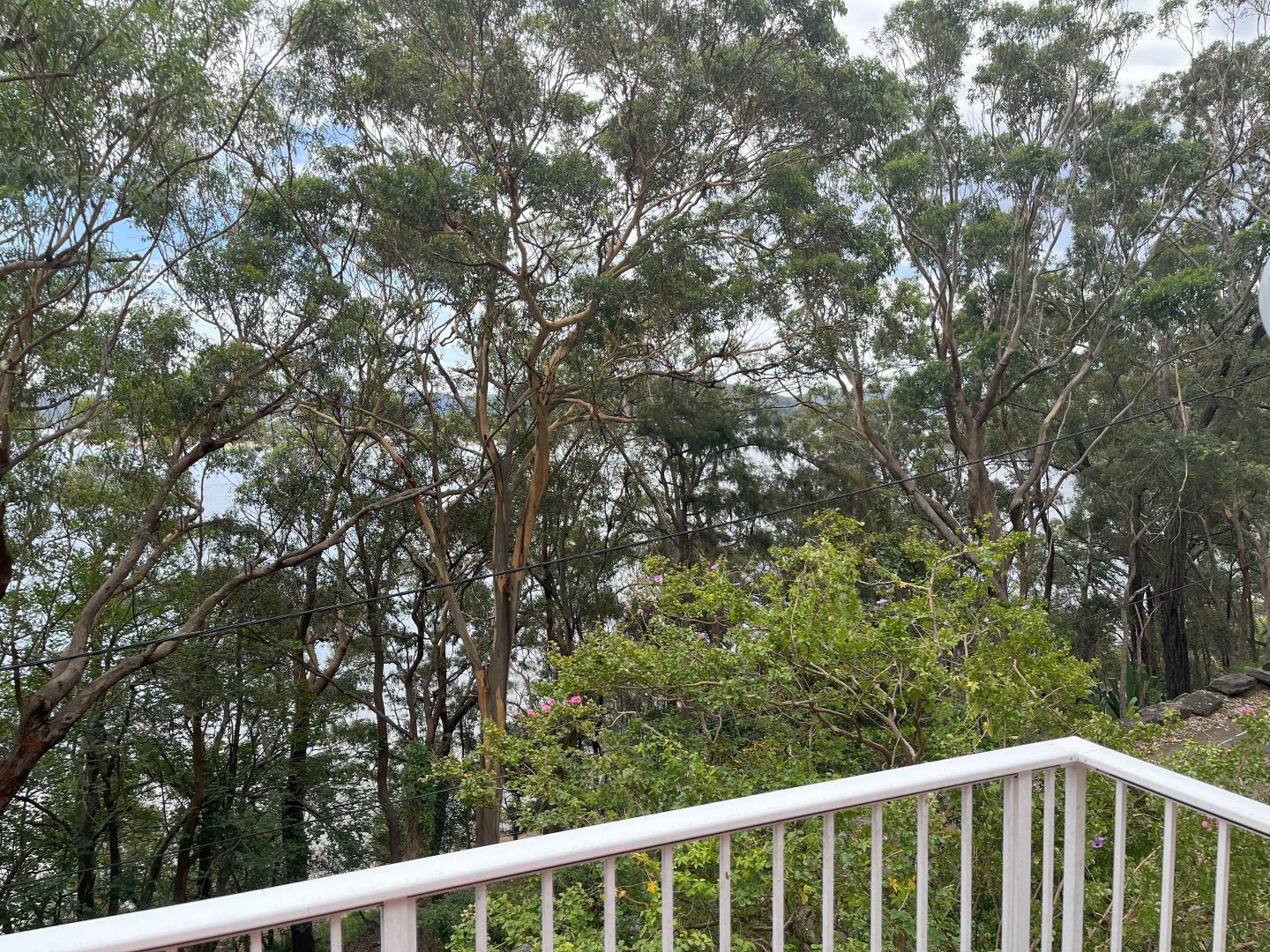 5 Hardys Bay Parade, Killcare NSW 2257 - House For Rent - $620 | Domain