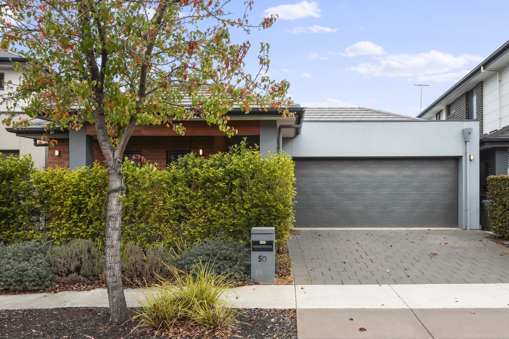 50 Pyers Street, St Clair SA 5011 - House For Rent | Domain