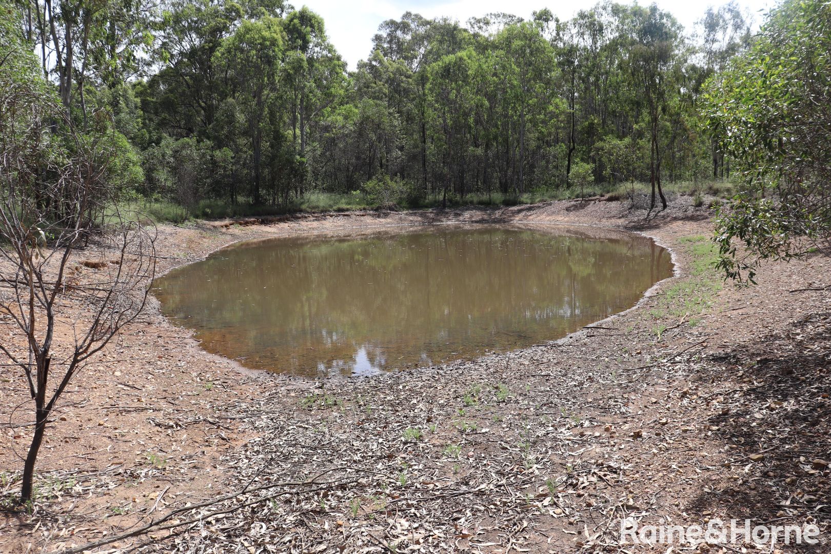 427 Wattlecamp Road, Wattle Camp QLD 4615 | Domain