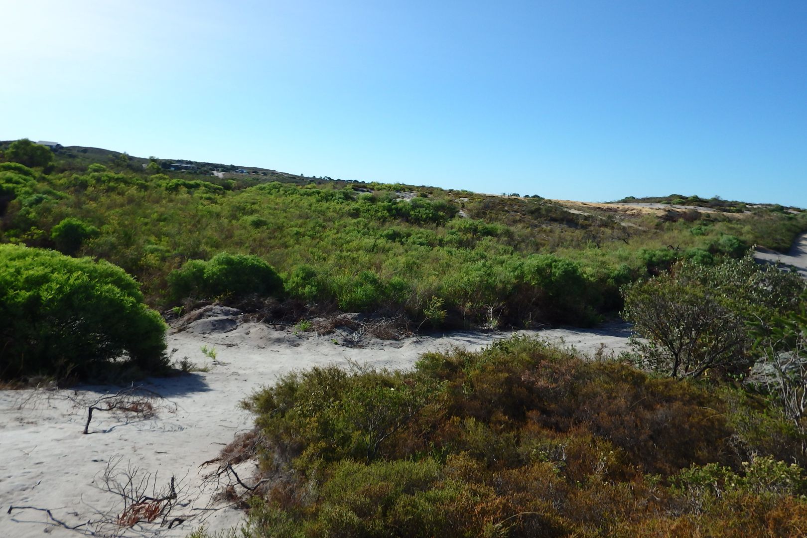 Lot 295 Pindari Place, Karakin WA 6044 - Vacant Land for Sale - $249,000