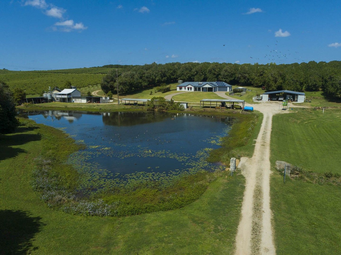 109 The Channon Road, The Channon NSW 2480 - House for Sale | Domain
