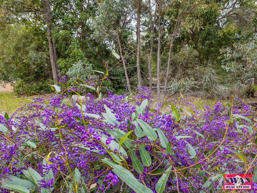 Morangup WA 6083 - Vacant Land for Sale - $599,000 | Domain