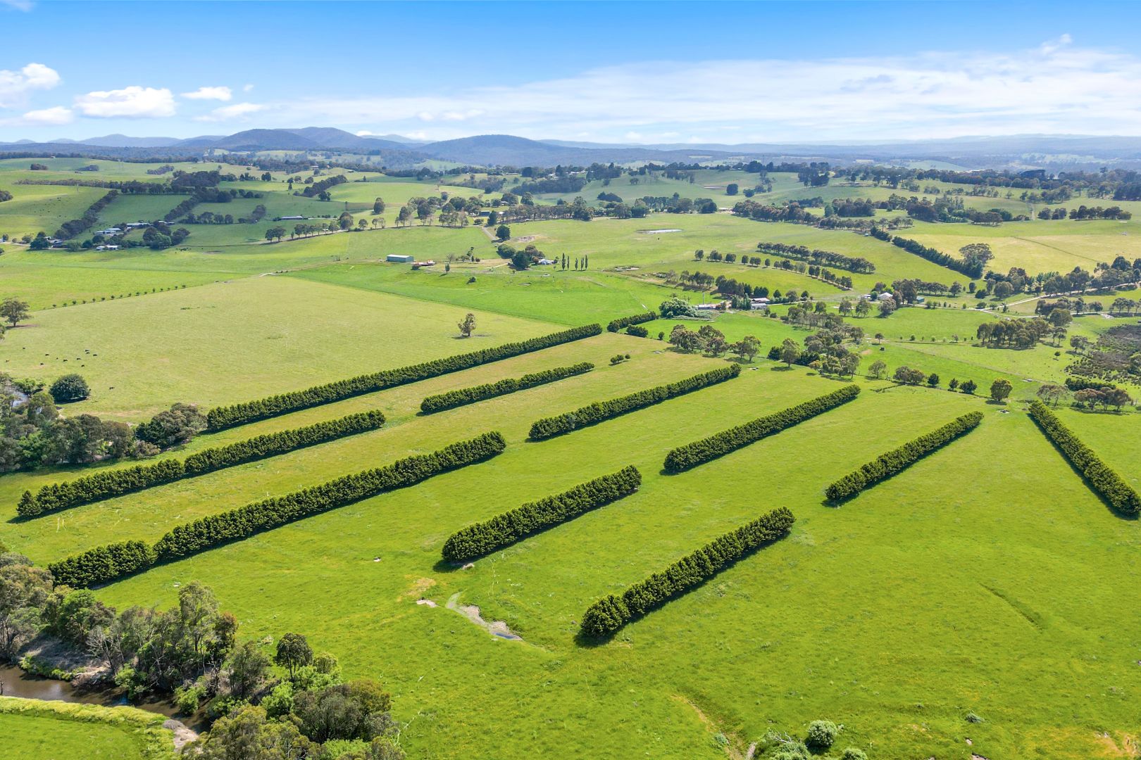 90 Anstey Road, Tanjil South VIC 3825 - Farm for Sale - $1,850,000