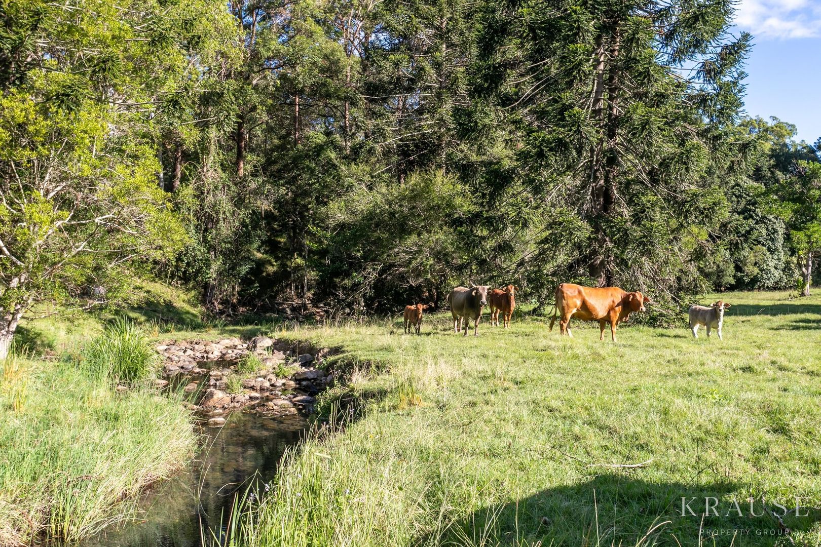 7 East Coolabine Road, Coolabine QLD 4574 | Domain