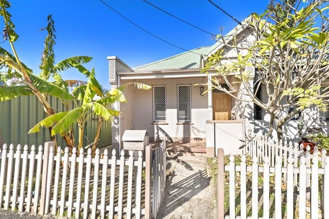 1153 Rental Properties in St Peters, NSW, 2044 | Domain