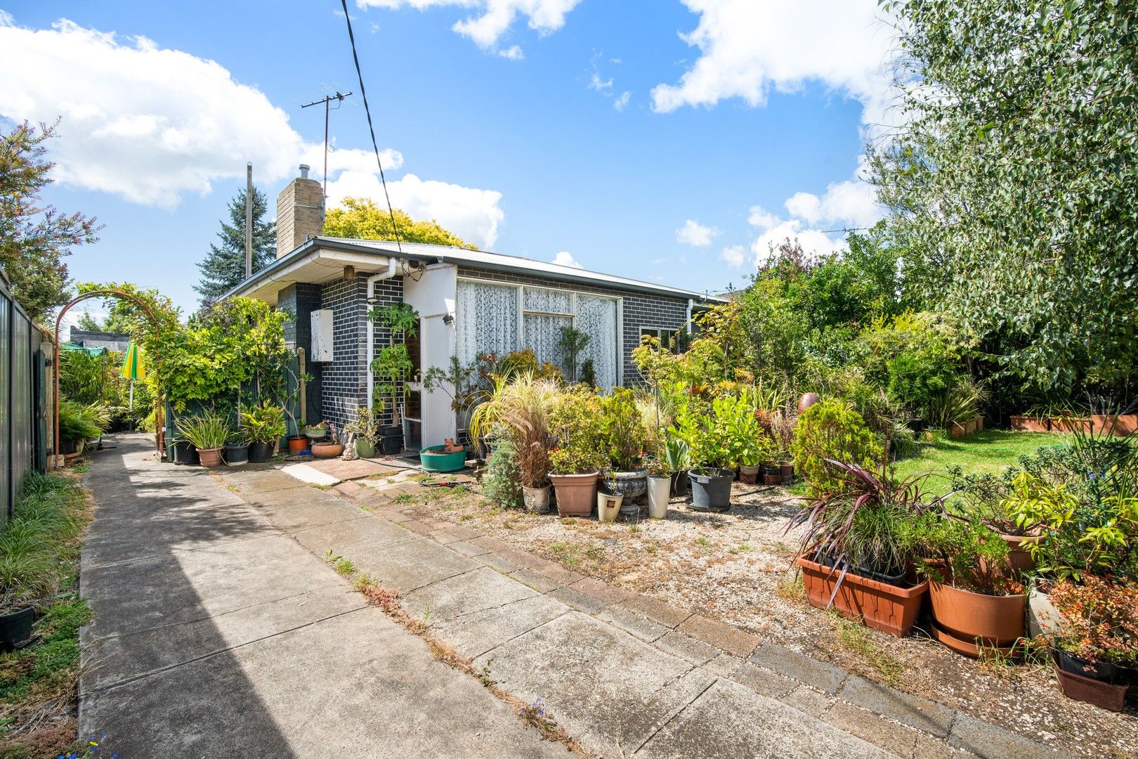 14 Wisteria Grove, Norlane VIC 3214 | Domain
