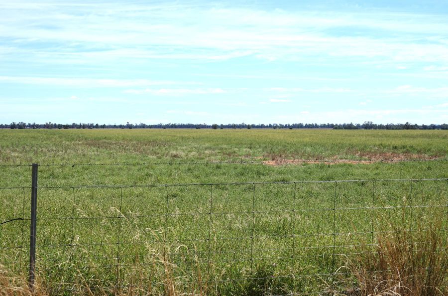 415 "Wilga View" National Park Road, Curban NSW 2827 - Vacant Land for Rent