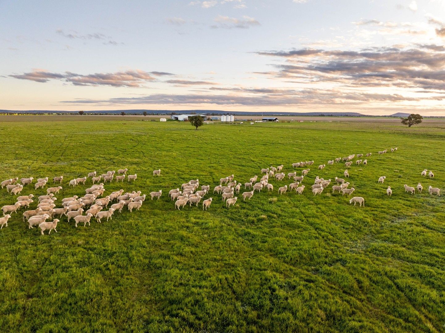 330 Hulmes Road, Leeton NSW 2705 - House for Sale | Domain