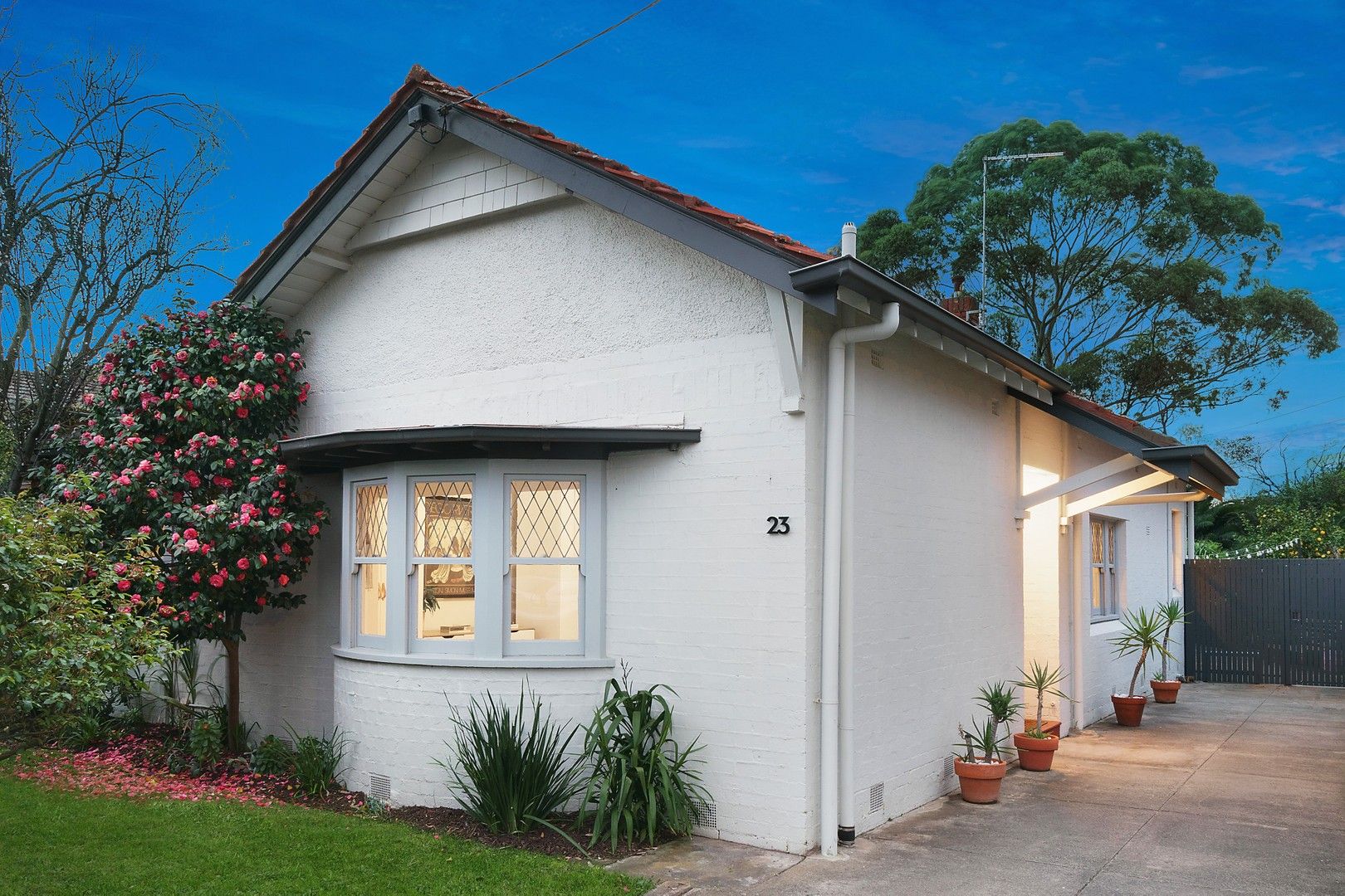 23 Albion Street, Balaclava VIC 3183 | Domain