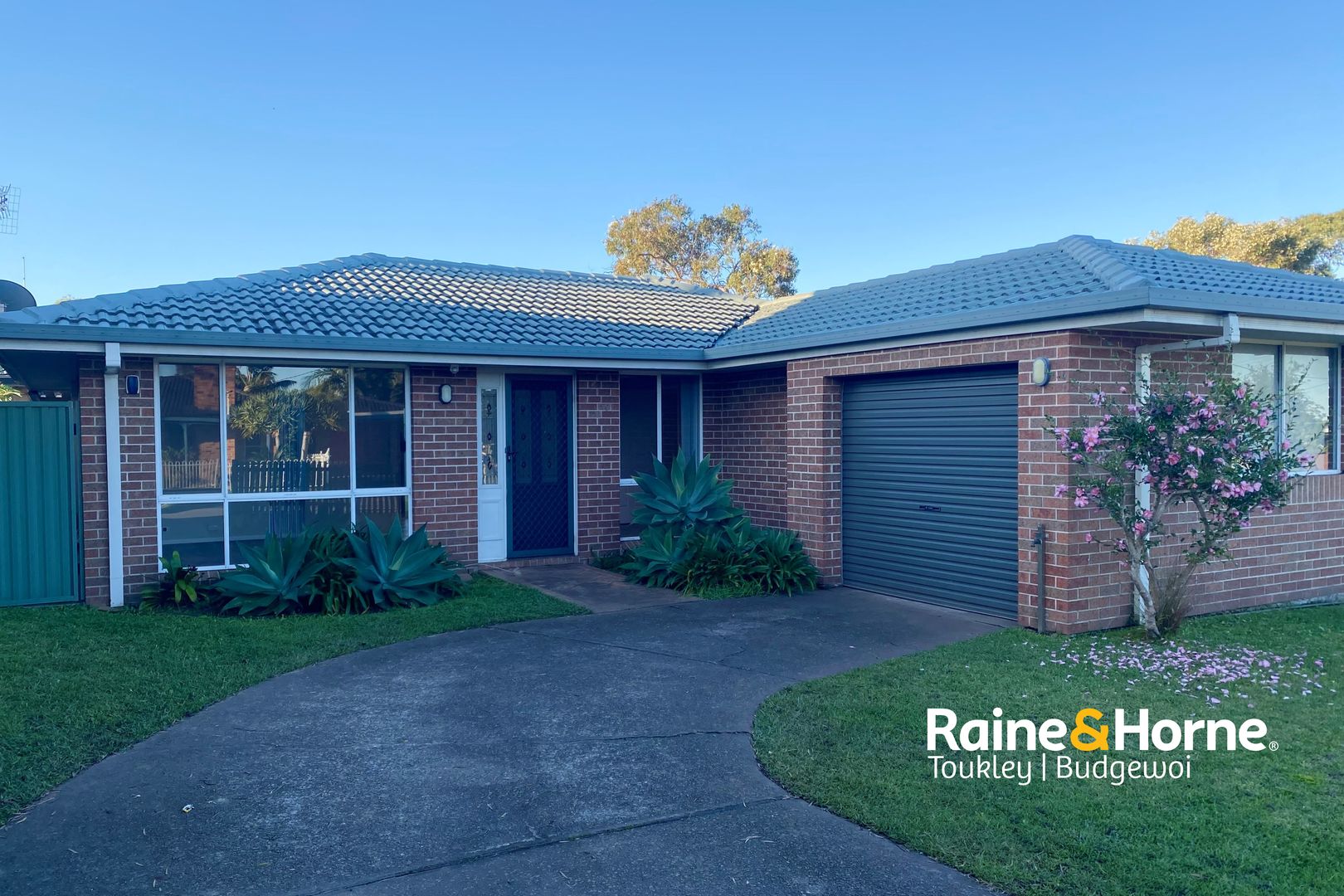 3 Casurina Close, Lake Haven NSW 2263 - House For Rent | Domain