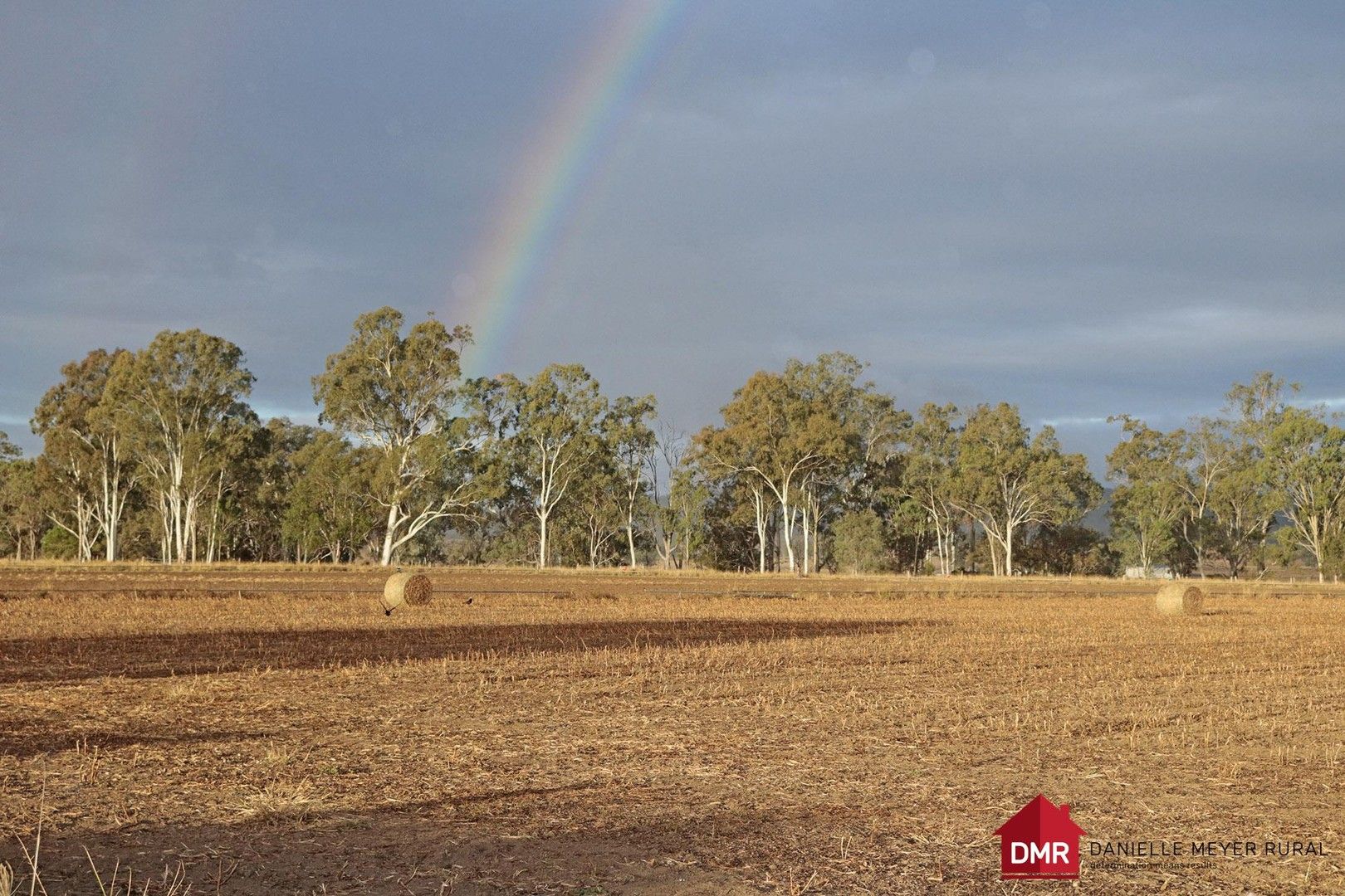 Monto QLD 4630 - Specialist Farm for Sale | Domain