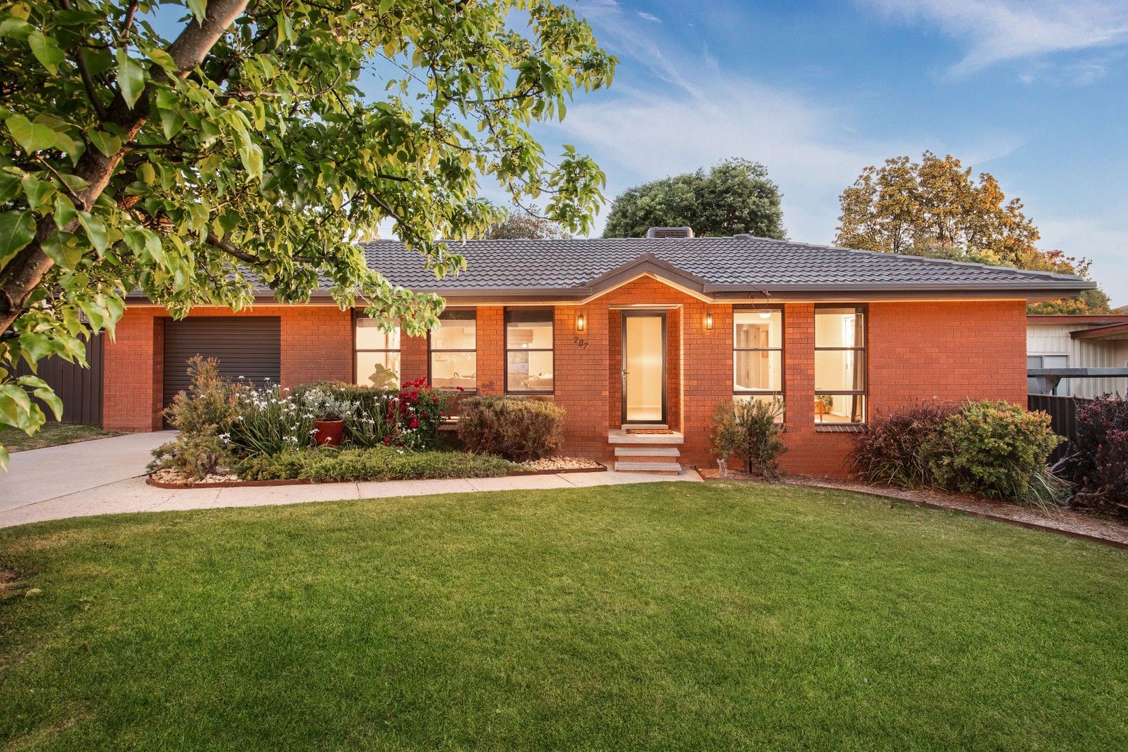 207 Fletcher Street, East Albury NSW 2640 | Domain