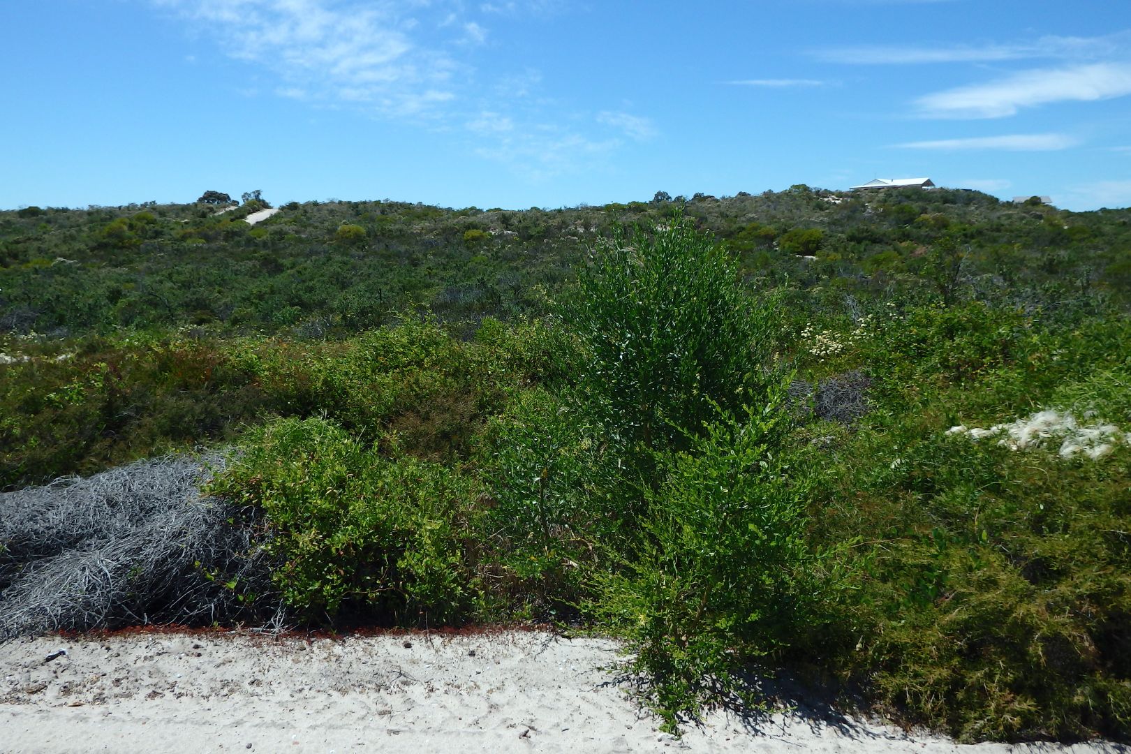 Lot 312 Pindari, Karakin WA 6044 - Vacant Land for Sale - $160,000