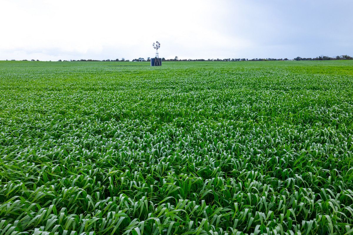 1015 Eurack Road, Eurack VIC 3251 - House for Sale | Domain