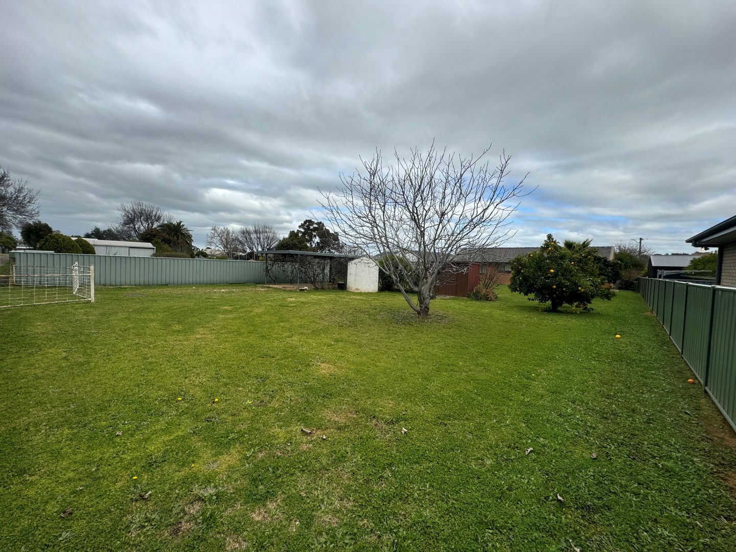 30 Waddell Street, Canowindra NSW 2804 - House For Rent - $380 | Domain