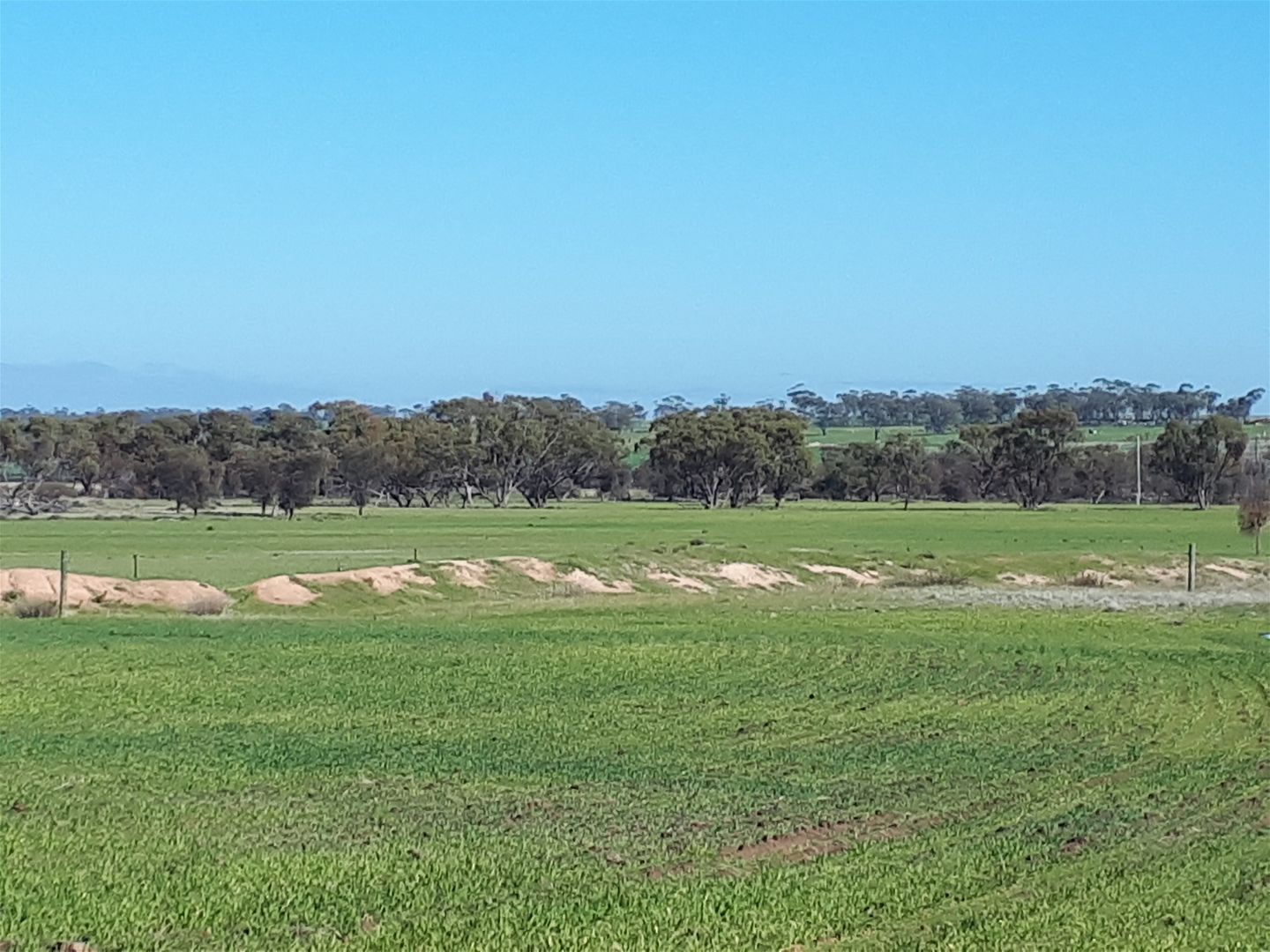 Lot/240 Great Eastern Highway, Meckering WA 6405 - Rural Lifestyle ...