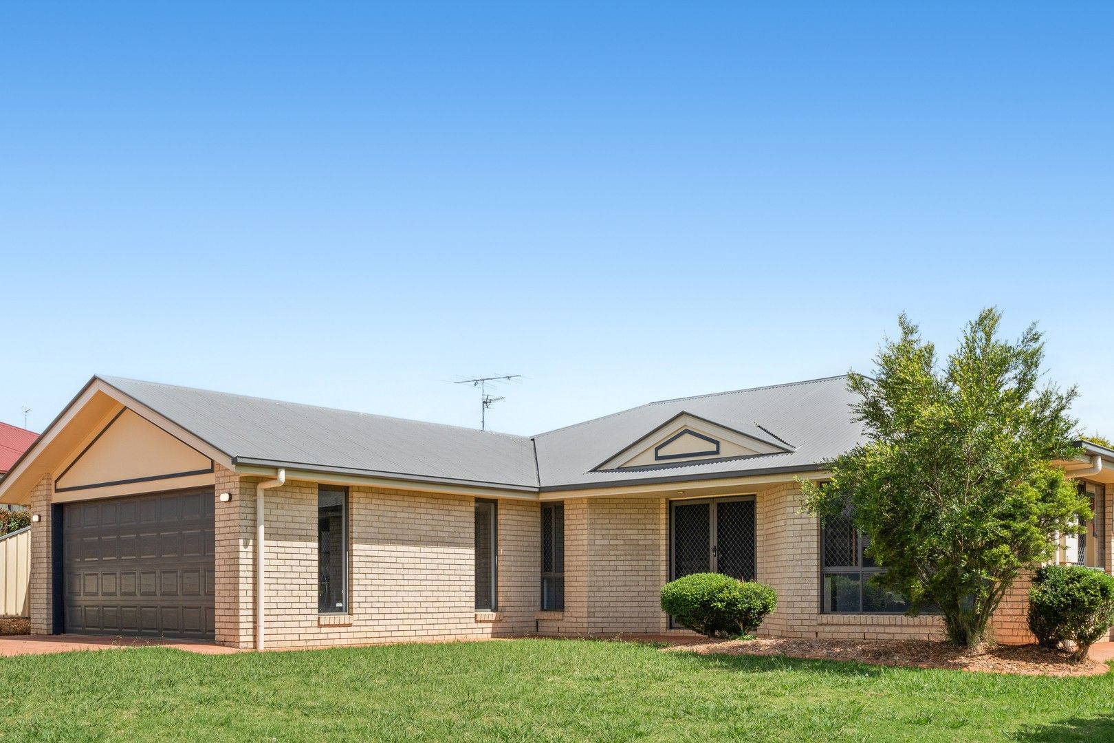 67 Hogg Street, Cranley QLD 4350 - House For Rent | Domain