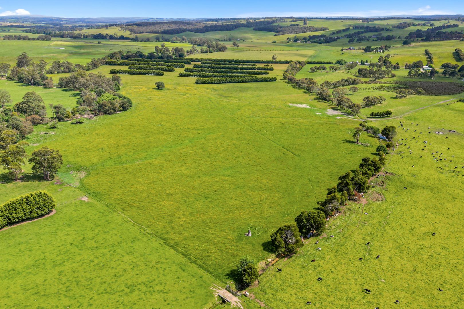90 Anstey Road, Tanjil South VIC 3825 - Farm for Sale - $1,850,000