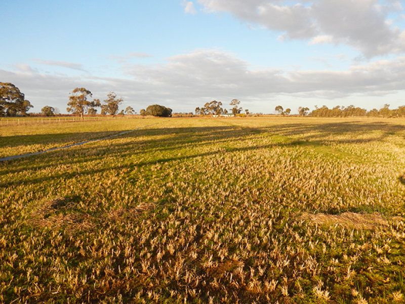 1340 Manley Road, Merrigum | Property History & Address Research | Domain