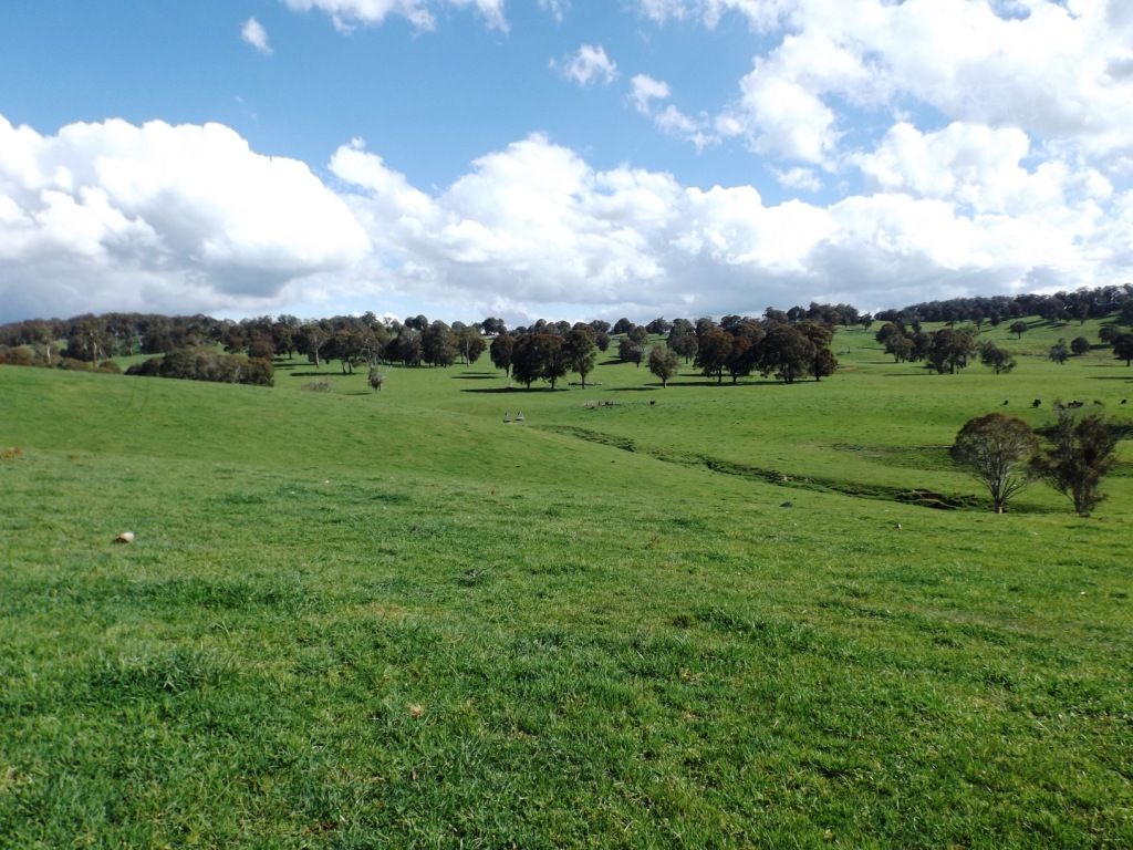 213 Flags Niangala Road, Walcha | Property History & Address Research ...