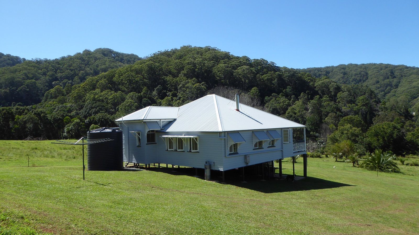 Main Arm NSW 2482 - 4 beds house for Rent, $875 - 12093125 | Domain