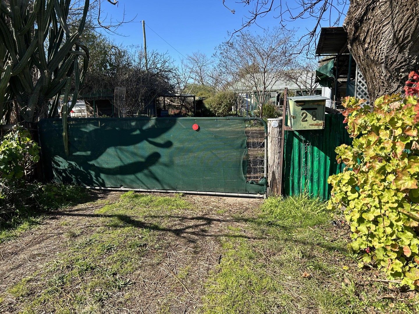 28 Alexandra Street, Grenfell NSW 2810 | Domain