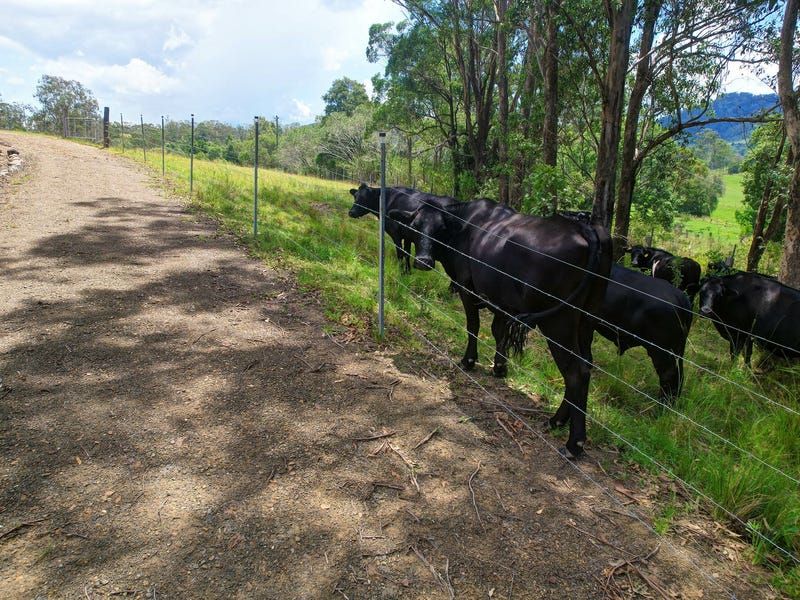 3202 The Bucketts Way, Krambach NSW 2429 | Domain