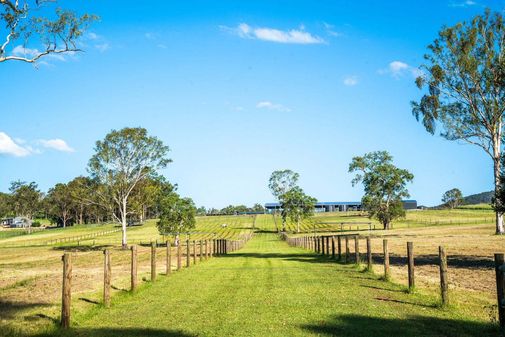 102-162 Cedar Creek Road, Belli Park QLD 4562 - House for Sale