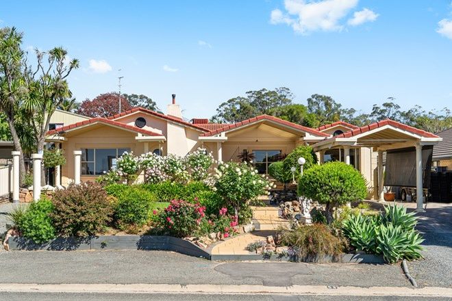 306 Real Estate Properties for Sale in Angaston, SA, 5353 | Domain