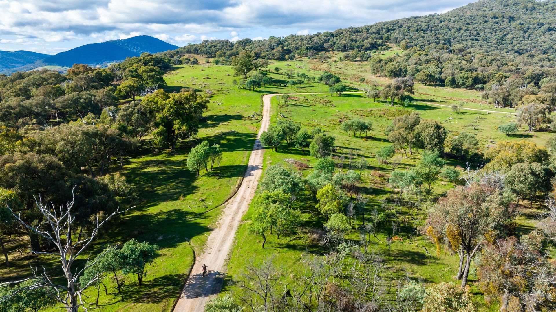 cooks-road-bullioh-vic-3700-house-for-sale-domain