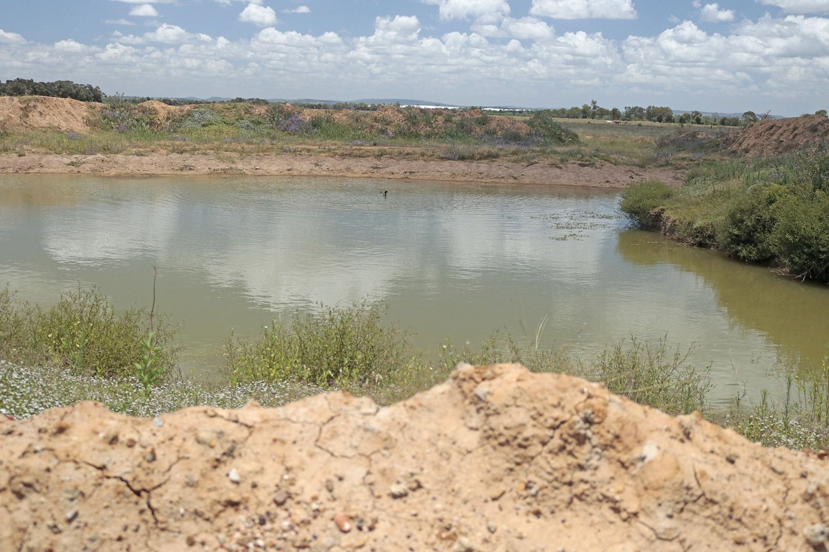 1714 MUNDUBBERA DURONG ROAD, Mundubbera QLD 4626 - House for Sale ...