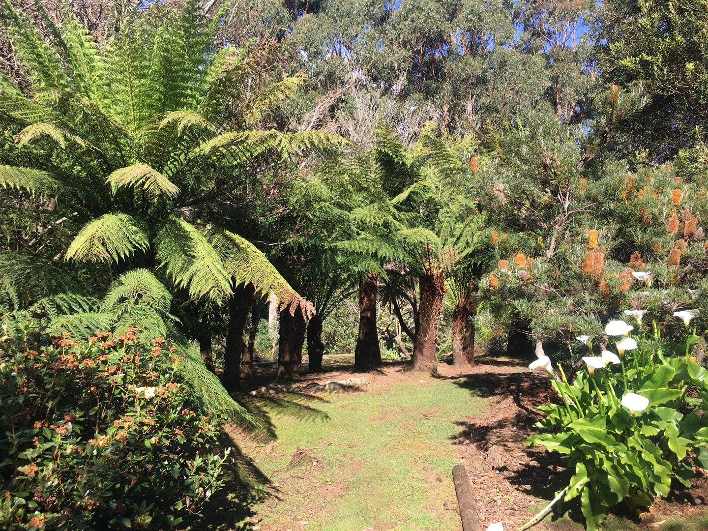 198 Whitehills Road, Penguin TAS 7316 - House for Sale | Domain