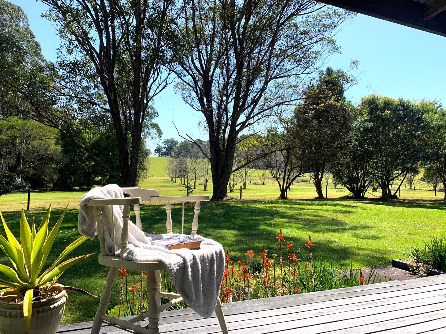 Eltham NSW 2480 - 3 beds house for Rent, $750 per week - 17075110 | Domain